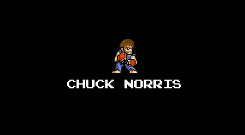 Angry Chuck Norris Birds – Lock Gamer Hardware